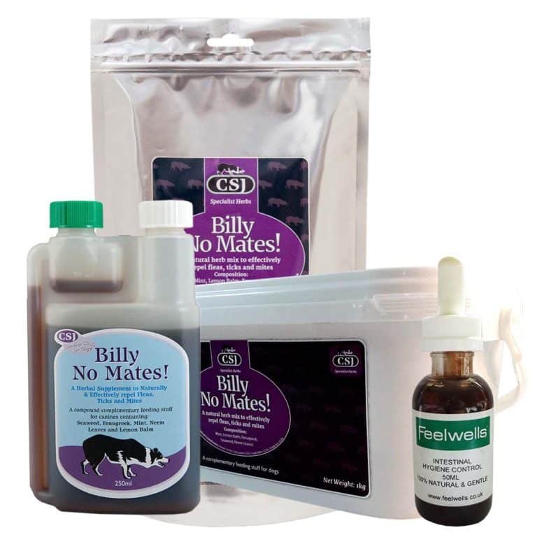 Billy No Mates | Feelwells